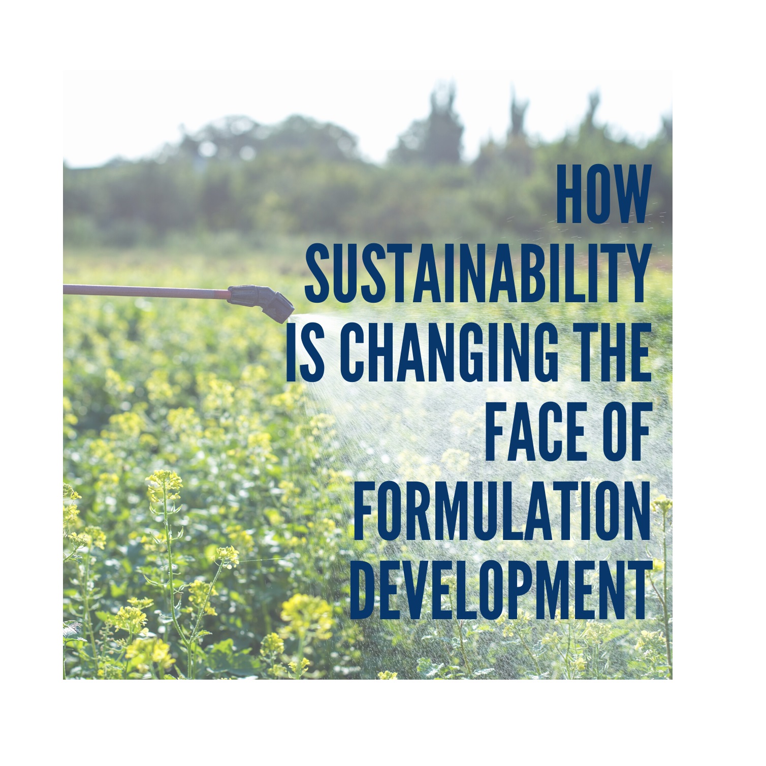 Oxford Dictionary Definition Sustainability at Lucinda Mccathie blog