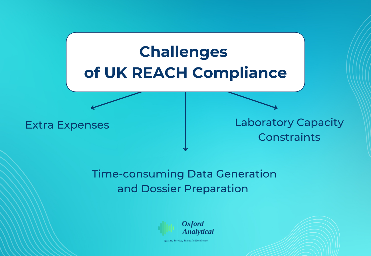 Navigating the Challenges of UK REACH