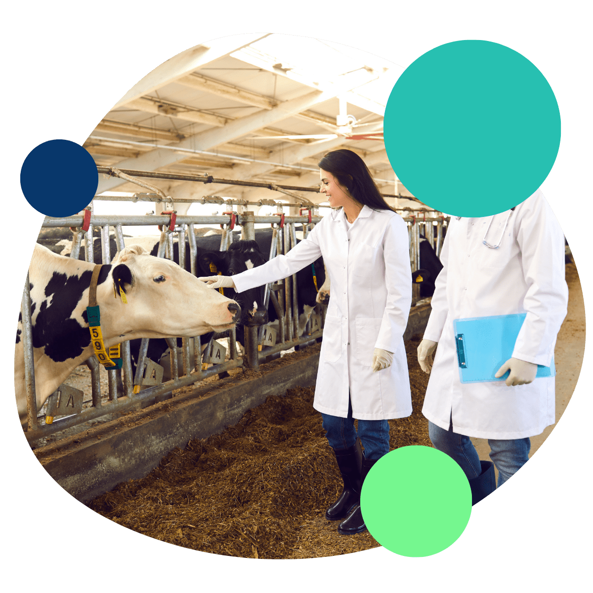 Trusted Analytical Testing for the Animal Health Industry